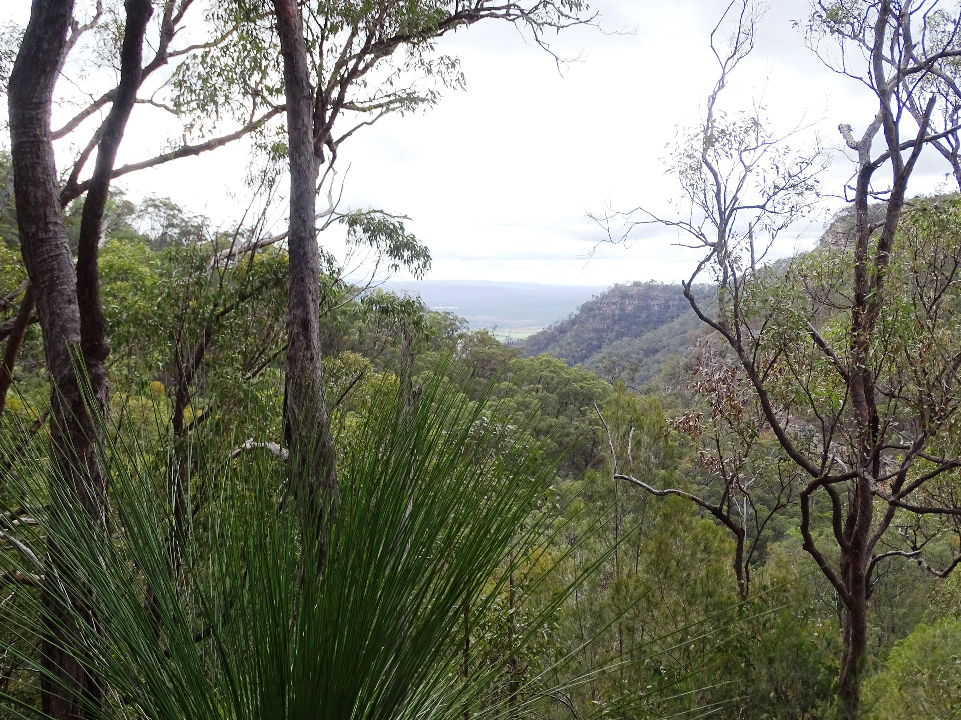 Lockyer Valley Regional Council - Land for Wildlife Lockyer Valley Regional Council - Land for Wildlife