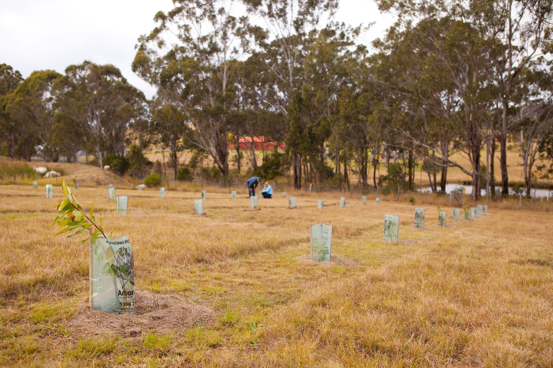 Scenic Rim Regional Council - Land for Wildlife