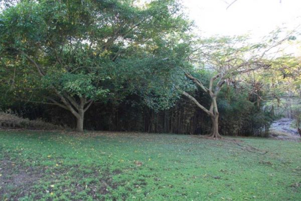 Over a Decade of Restoration at Fig Tree Pocket - Land for Wildlife