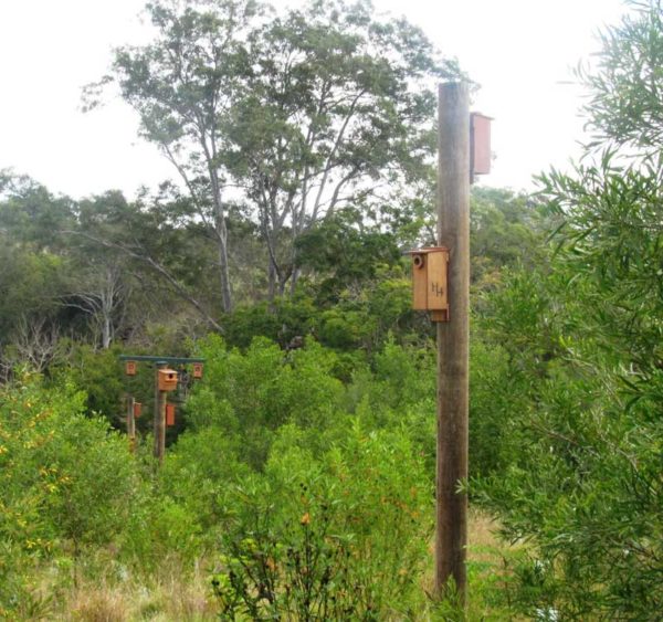 Habitat Poles - Land for Wildlife