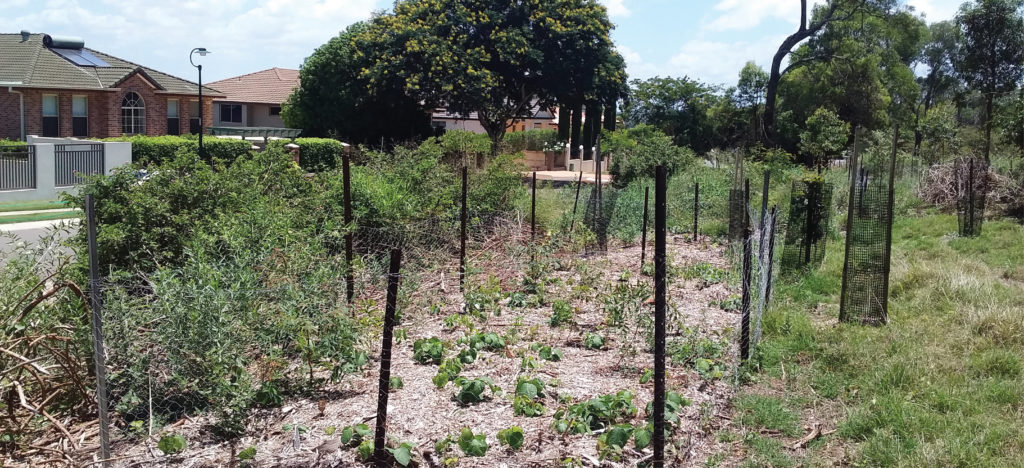 Plant Protection Methods - Land for Wildlife