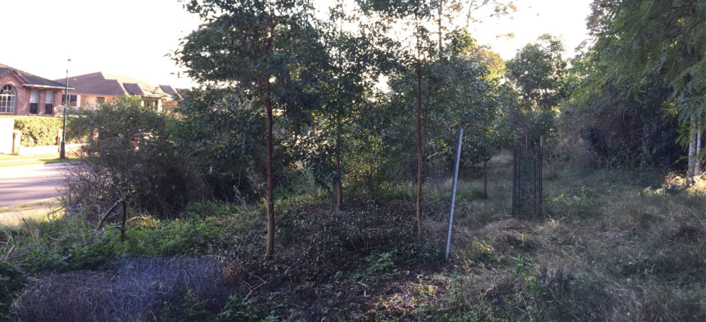 Plant Protection Methods - Land for Wildlife