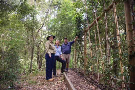 Bringing Back the Richmond Birdwing - Land for Wildlife
