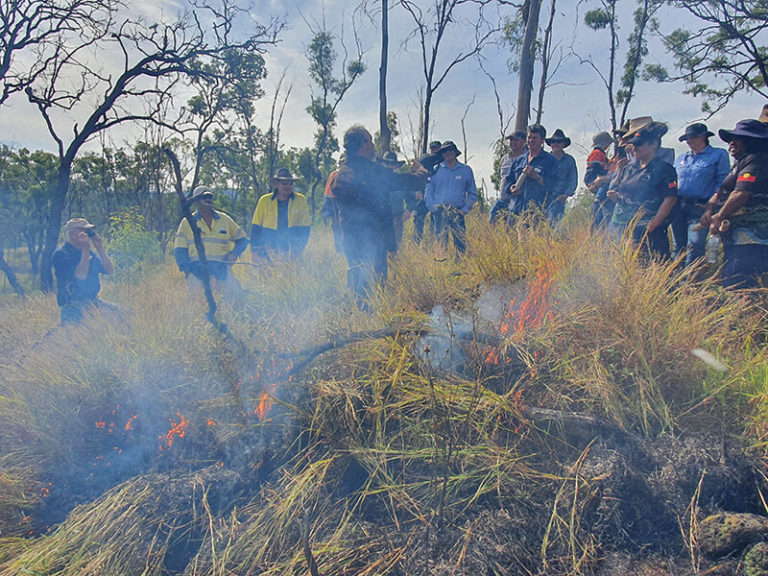 Indigenous Fire Management Training in the Lockyer - Land for Wildlife