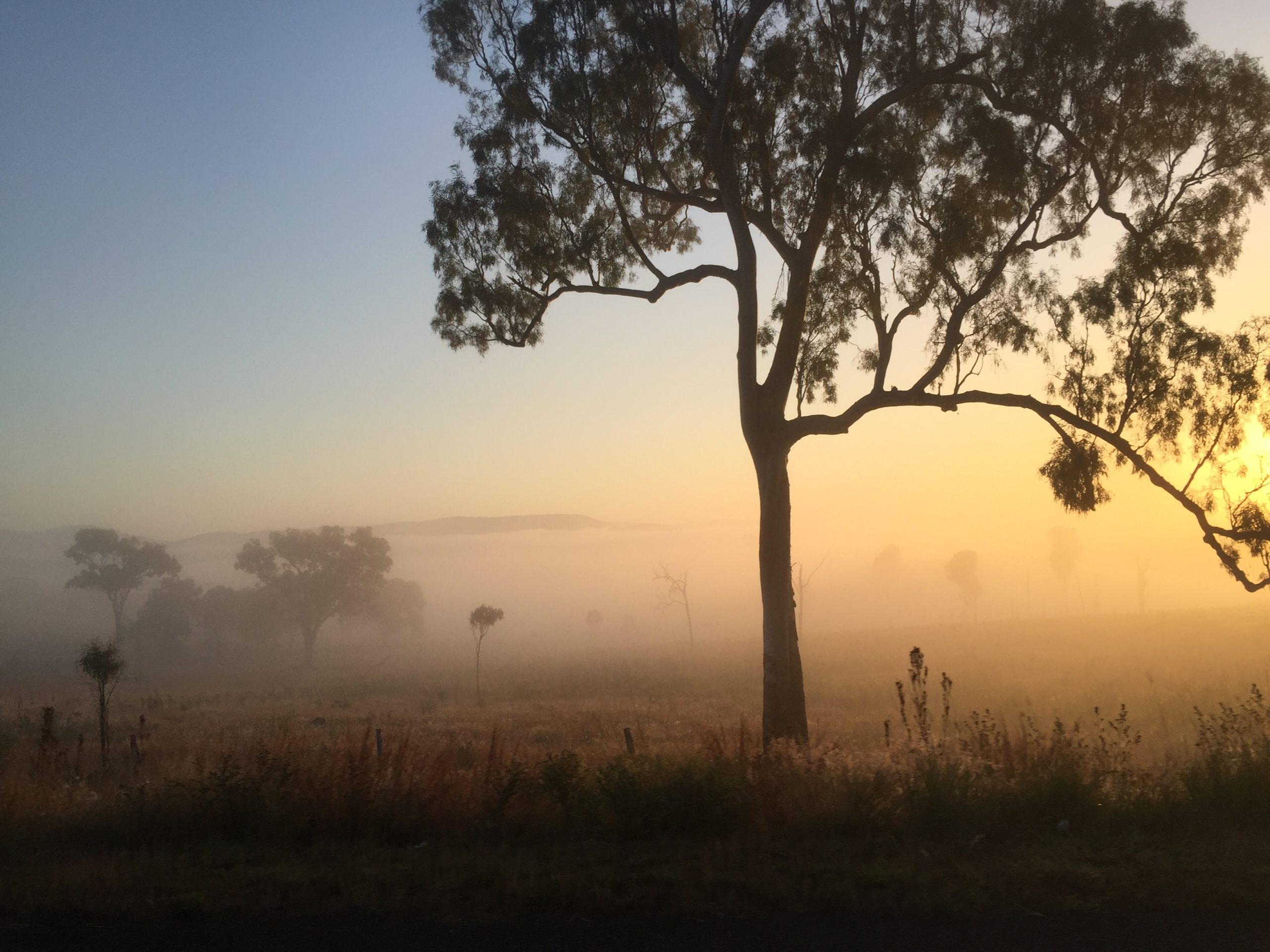 Somerset Regional Council - Land for Wildlife