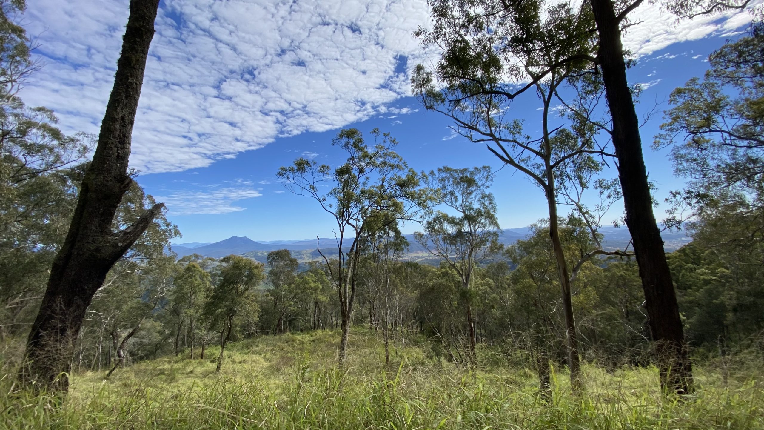 Scenic Rim Regional Council - Land for Wildlife