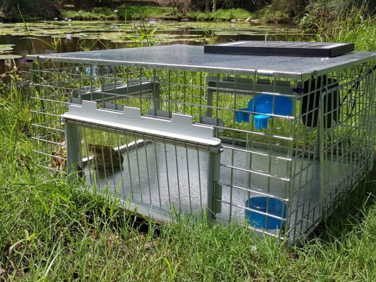 Cane Toad Collaboration - Land for Wildlife