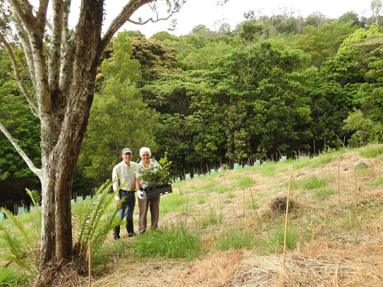 From Farm to Forest: 30 Years of Revegetation - Land for Wildlife